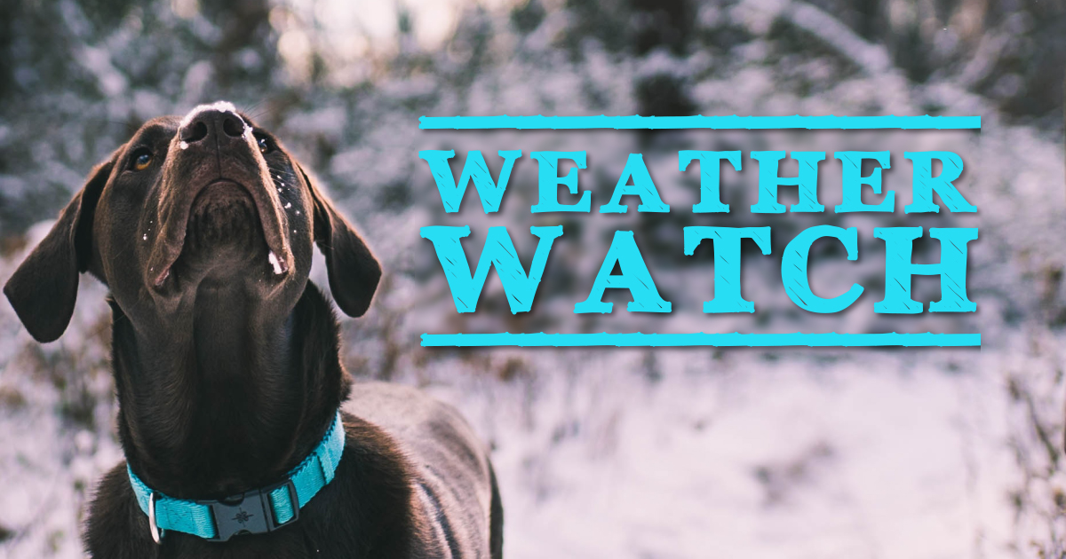 Stay Informed: Winter Storm Watch in Montgomery County - Montgomery ...