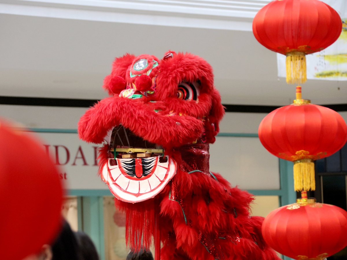 Guide to Lunar New Year Celebrations - Montgomery Community Media