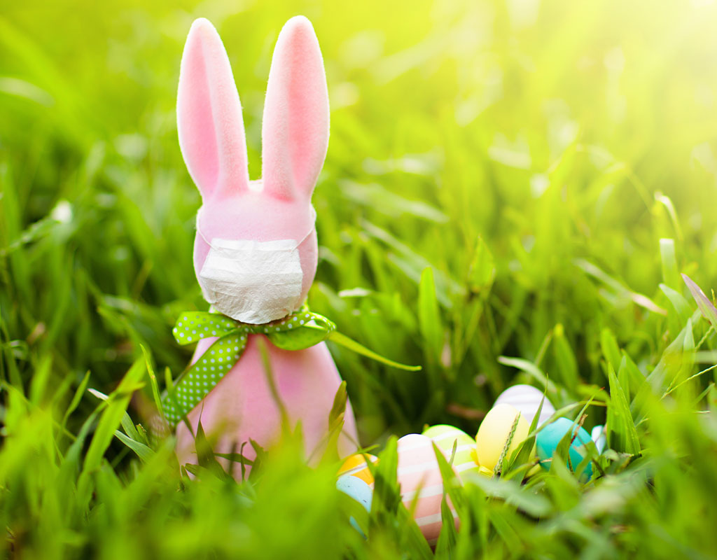 Hogan Makes Easter Bunny 'Essential Worker' in Maryland - Montgomery ...