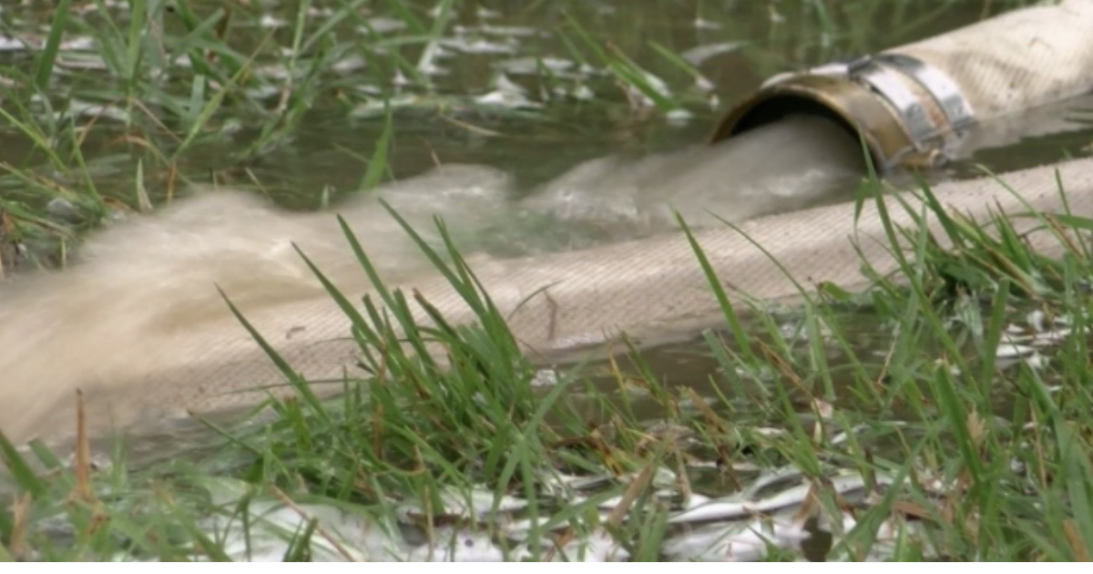Dr. Earl Stoddard: 'We're Certainly Seeing Flooding in Places We Haven ...