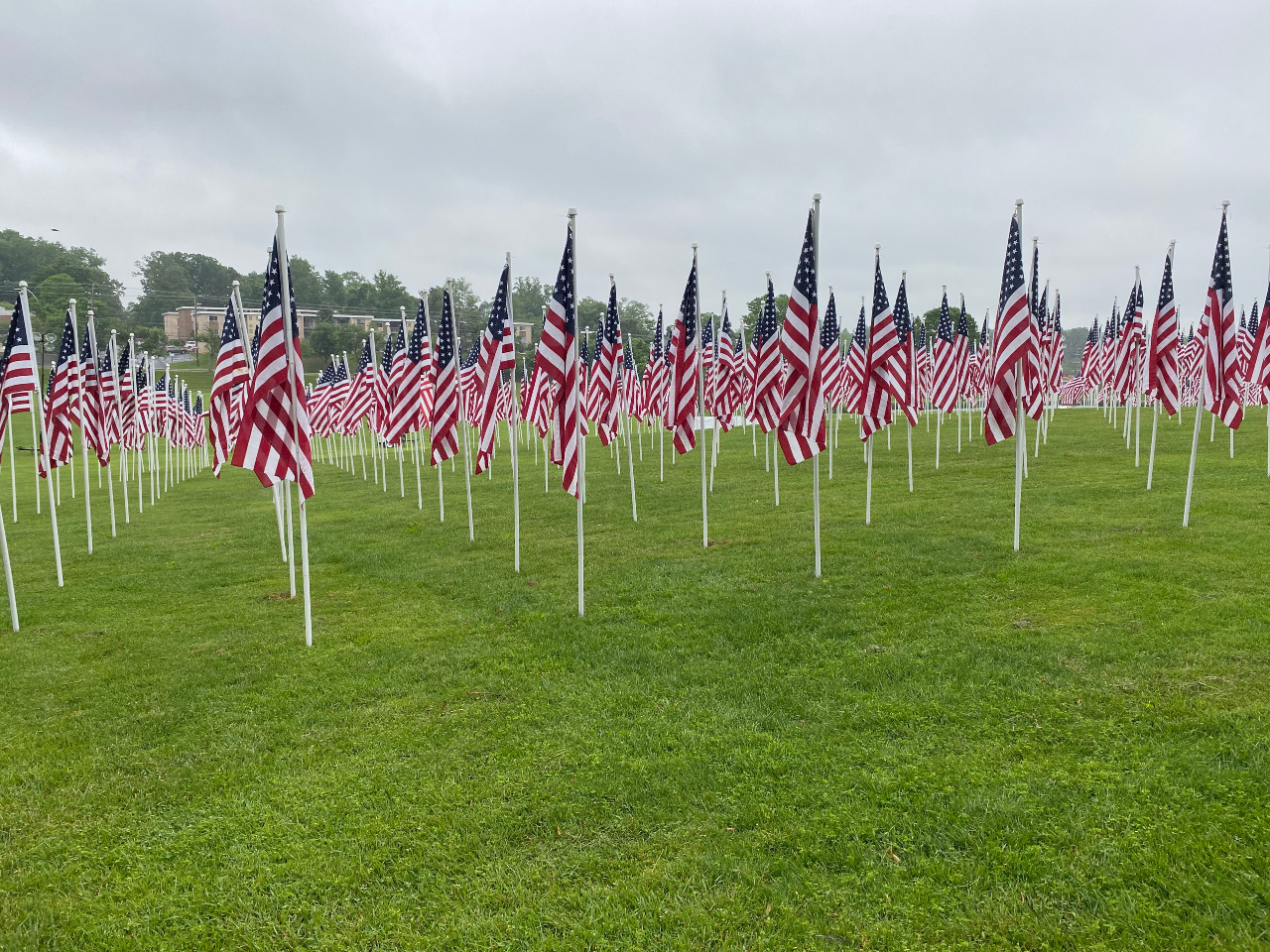 Memorial Day Flag Display Honors Heroes at Gaithersburg's Bohrer Park ...