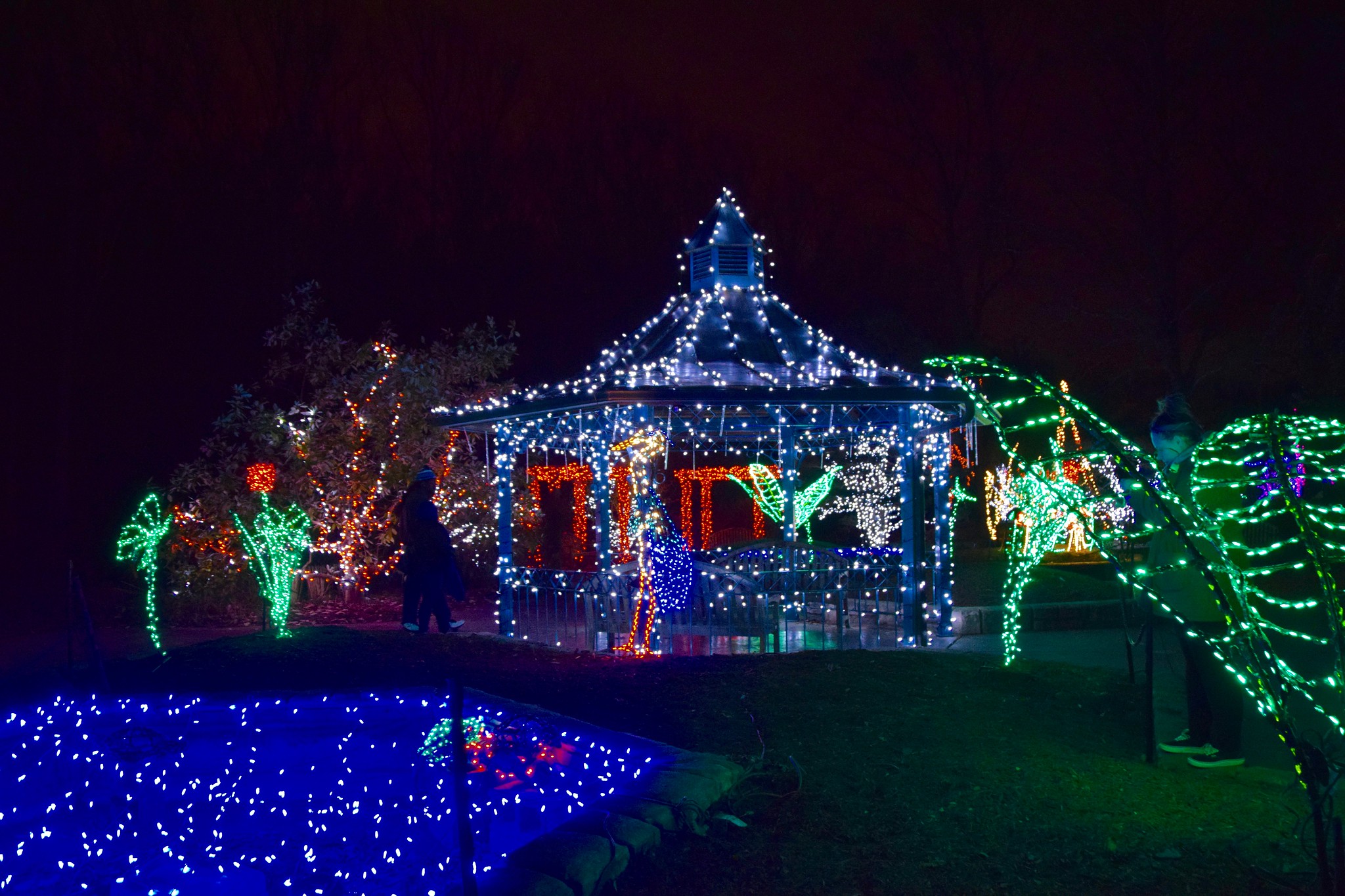 Garden of Lights Holiday Display Returns to Brookside Gardens ...