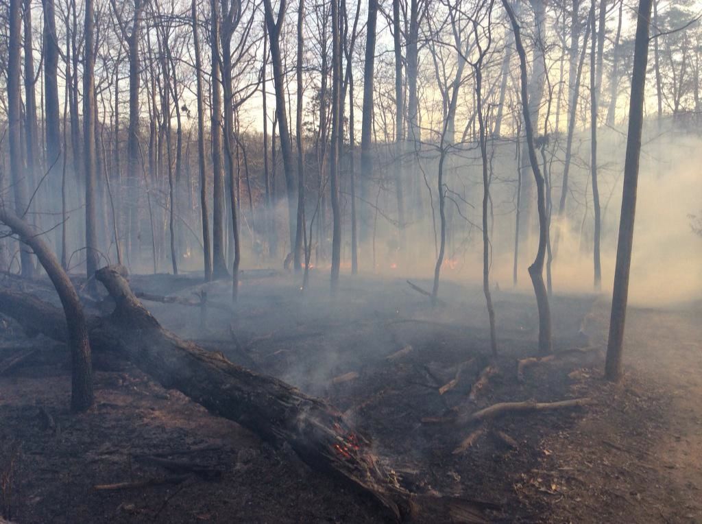 County Under Red Flag Warning for Fire Weather Conditions - Montgomery ...