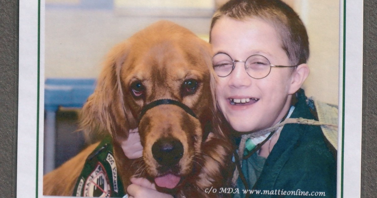 Peace Day Celebration Honors Legacy of Mattie J.T. Stepanek ...