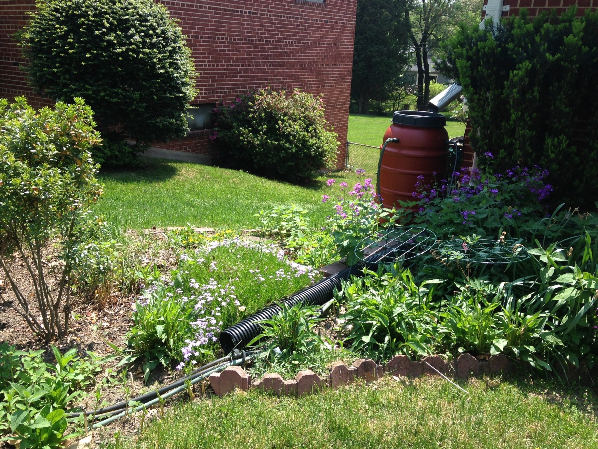 City of Gaithersburg Expands RainScapes Rewards Program - Montgomery ...