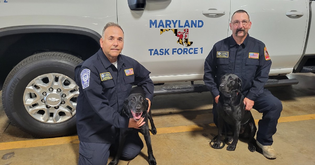 County Teams Go to Maui to Aid in Wildfire Recovery - Montgomery ...