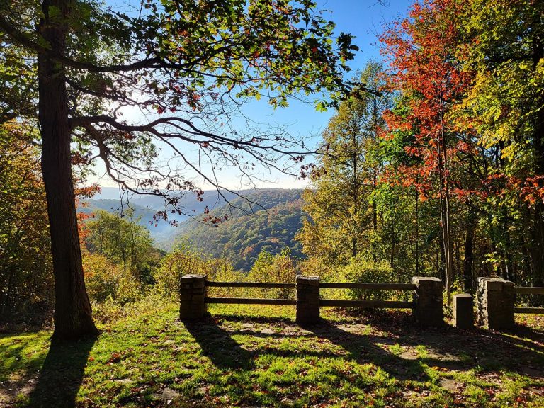 Fall Foliage Report Reveals Delays in Leaf Color Change - Montgomery ...