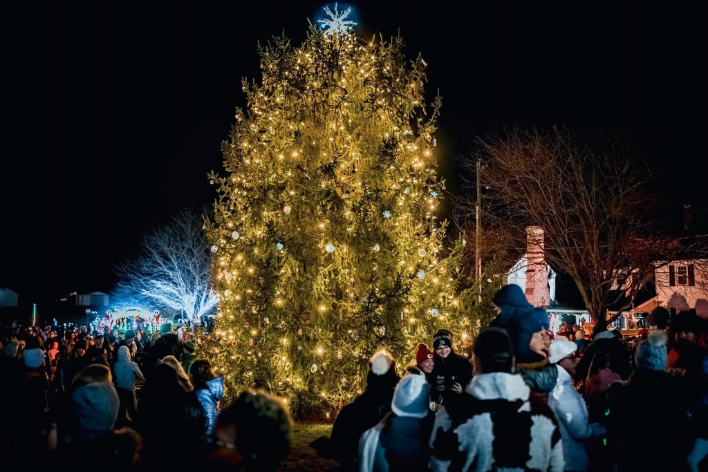 5 Community Tree Lighting Events from Poolesville to Kensington ...