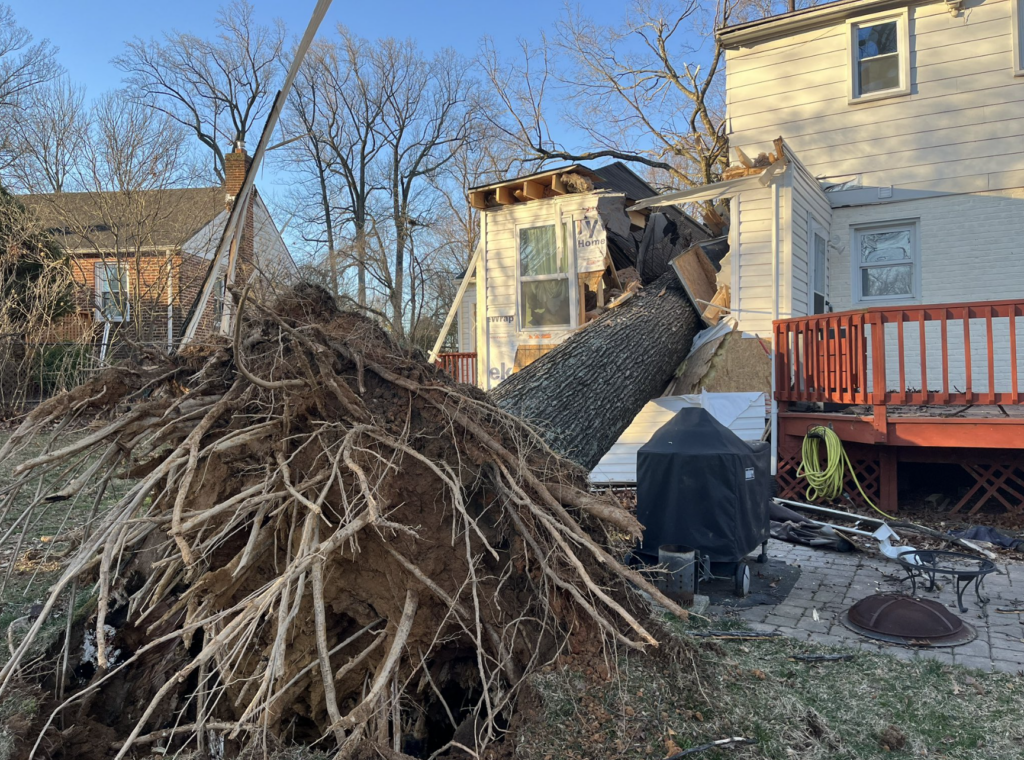 Tree Collapses Onto Wheaton Hills Home - Montgomery Community Media