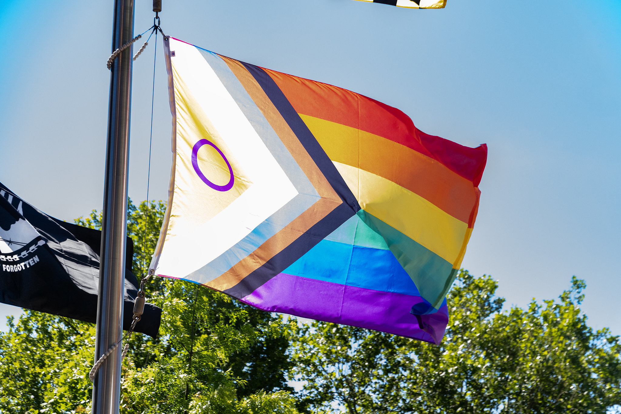 Local Pride Month Events: How to Celebrate and Show Your Support ...