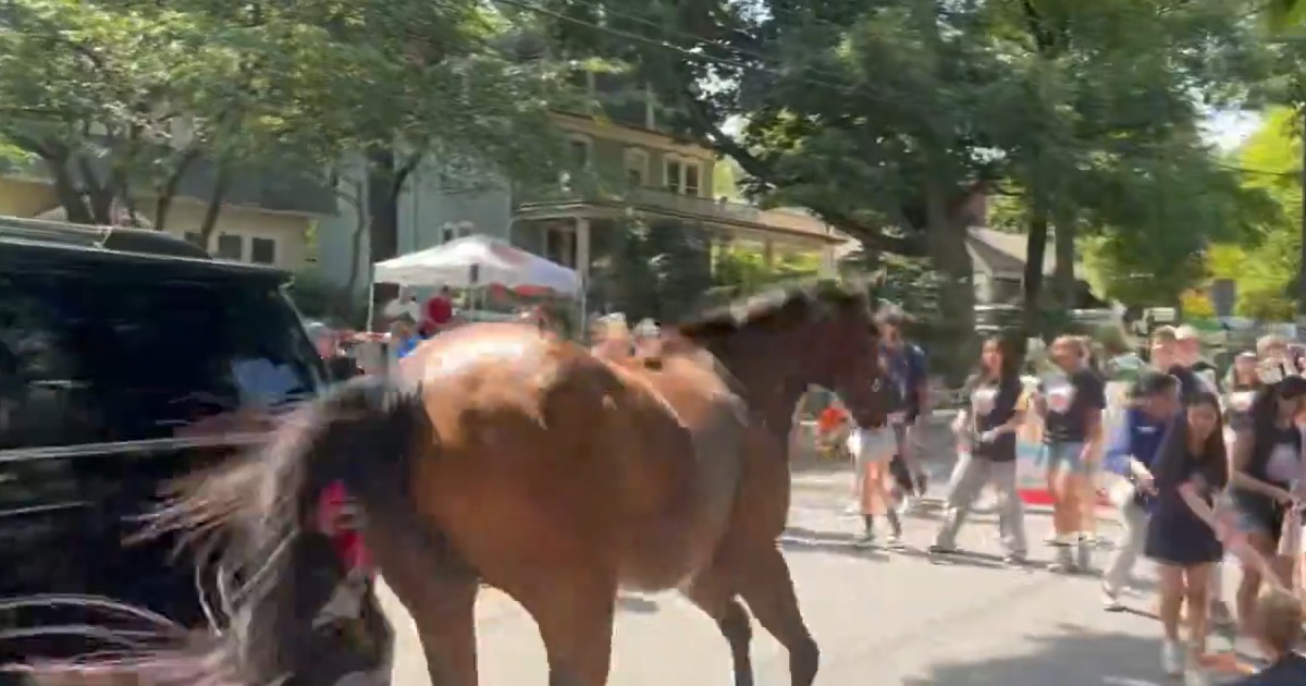 Horse Gallops Through Crowded Takoma Park Parade - Montgomery Community ...