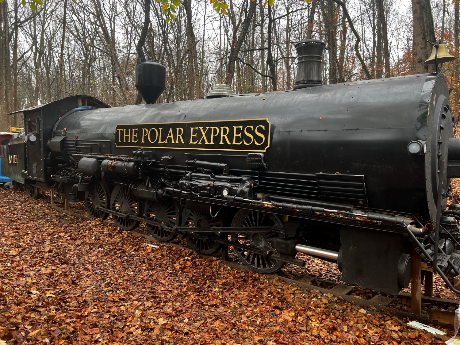 Christmas at Calleva Farm: New Holiday Event Debuts in Dickerson ...