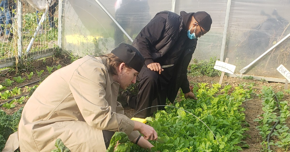 Shepherd's Table Culinary Students Pick Ingredients For Their Pasta ...