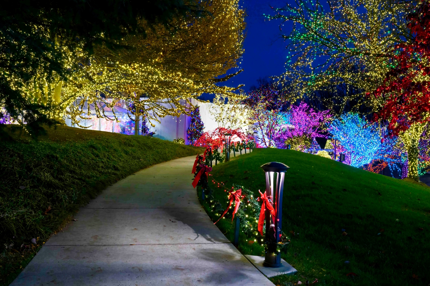 DC Temple's Festival of Lights Welcomes Visitors with Dazzling Displays ...