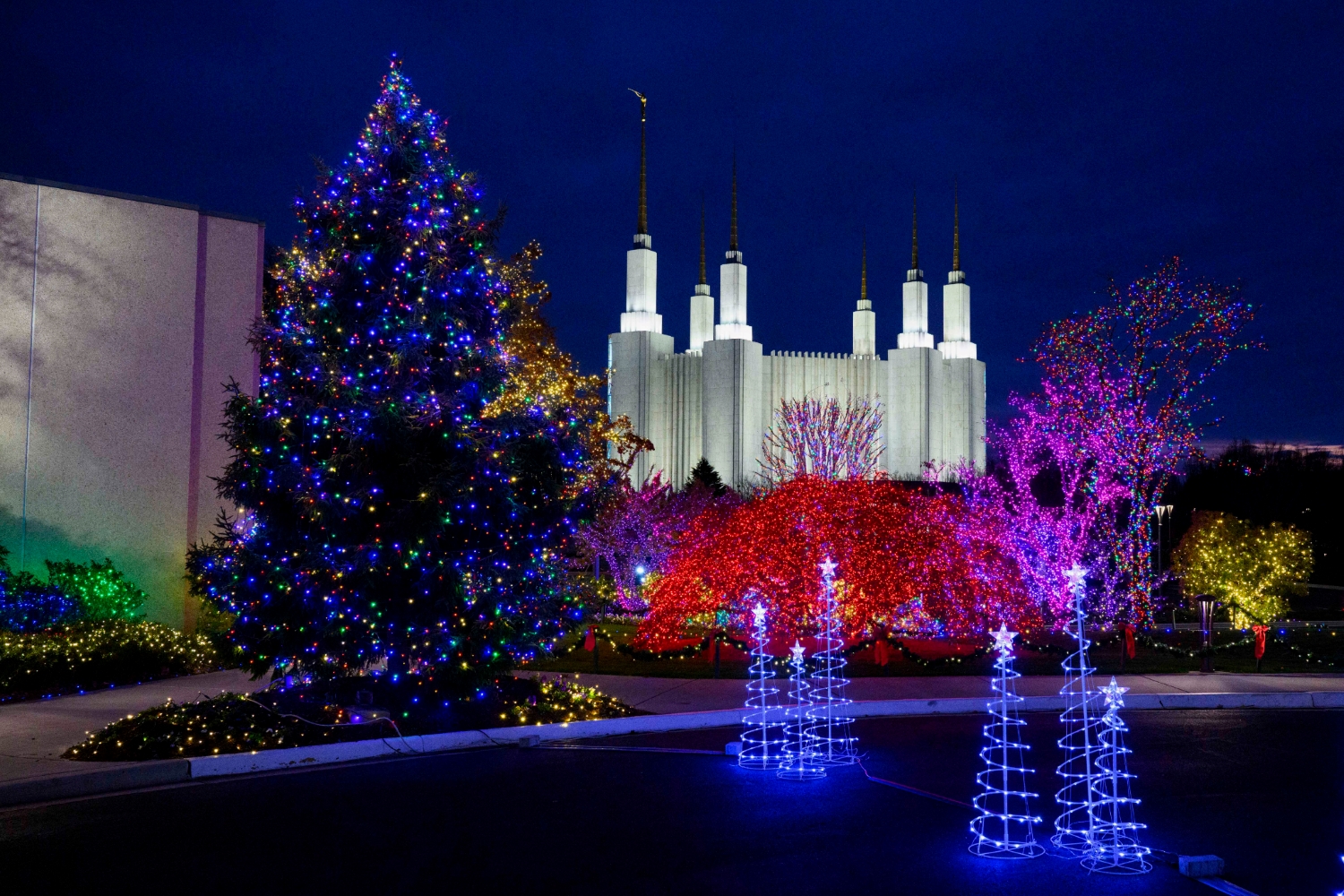 DC Temple's Festival of Lights Welcomes Visitors with Dazzling Displays ...