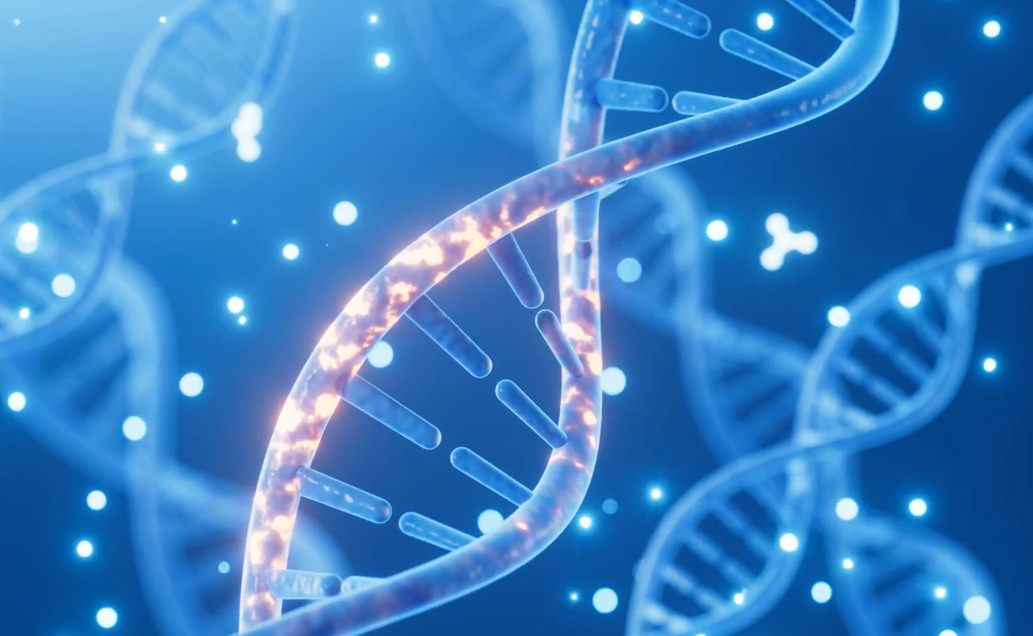 DNA Match Solves Montgomery Village Cold Case - Montgomery Community Media