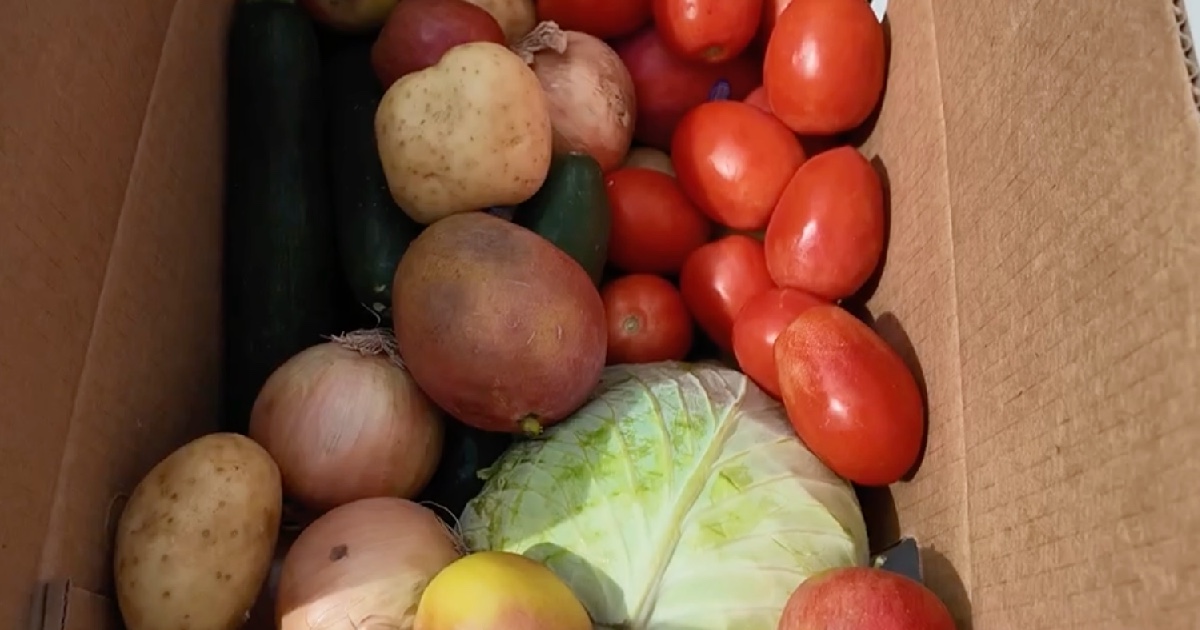 Full SNAP Benefits to Resume Nov. 18 - Montgomery Community Media