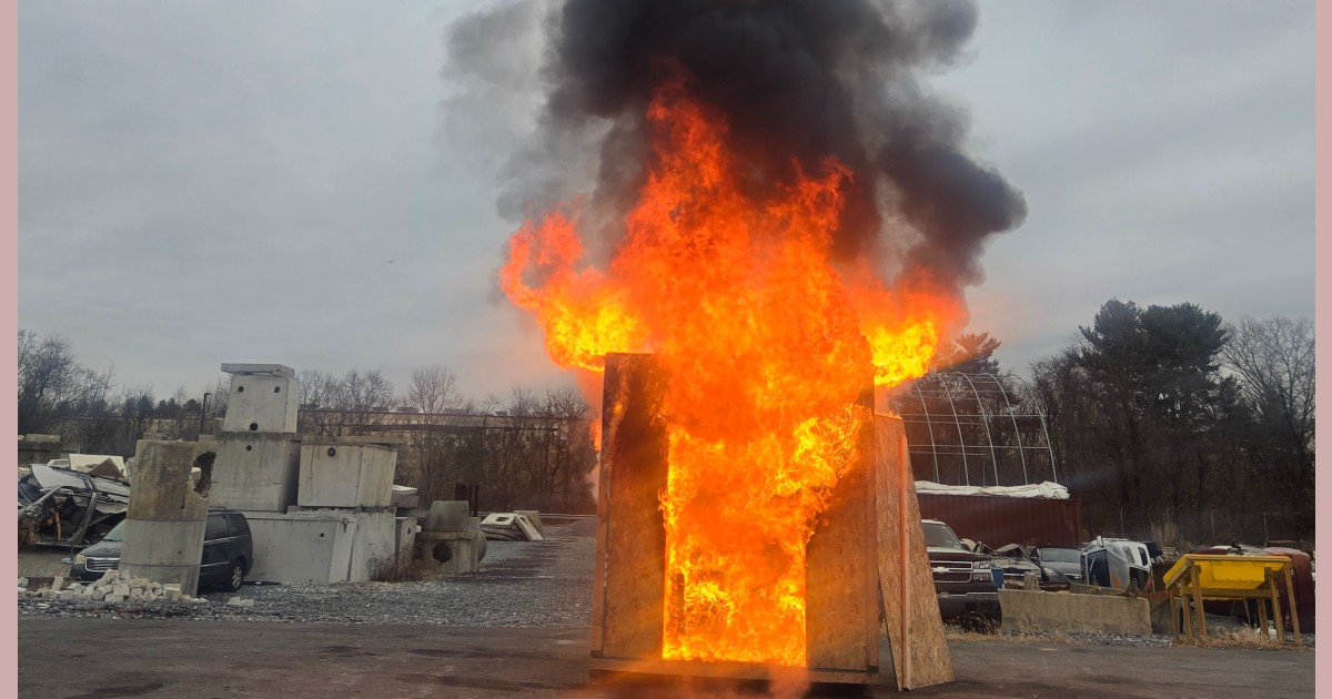 It is past time to remove flammable Christmas trees and decorations ...
