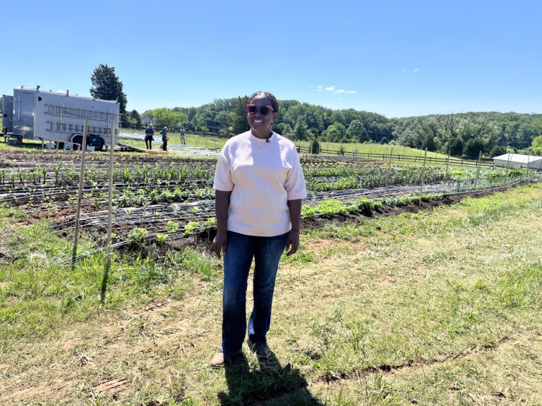 Flower farm turns to climate-smart solutions amid changing weather ...